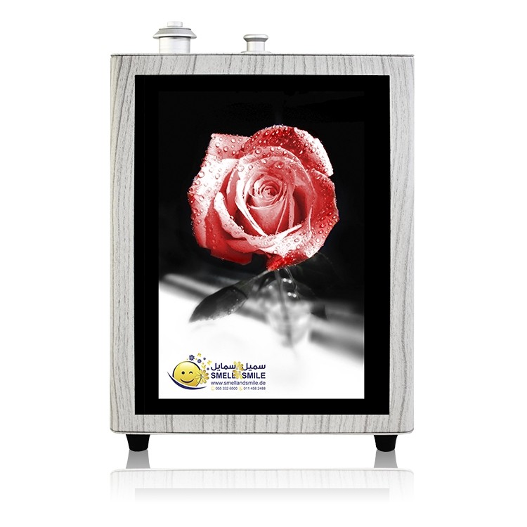 Smell and Smile AC250 Air Freshener Device - Grey Woody