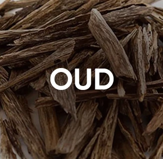 Bakhoor - Golden Scent